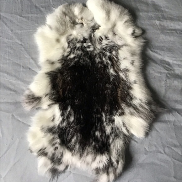 Other | Rabbit Pelt For Display Or Diy | Poshmark